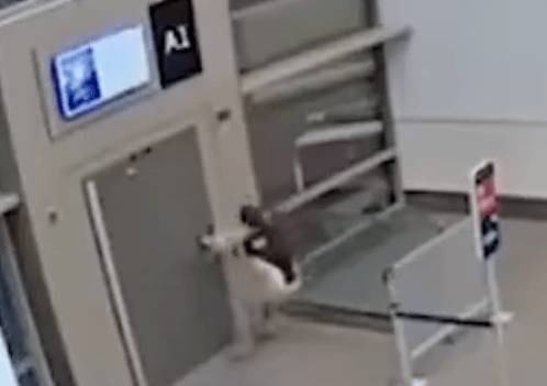 Delayed Egress Locking Systems and Airport Security